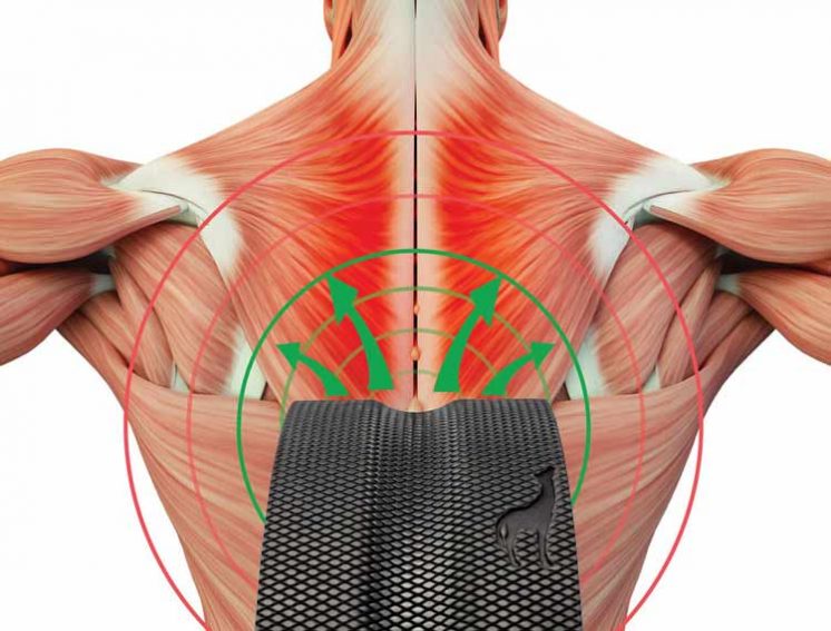 Chirp Plexus Wheel Back Pain Relief | Time 4 Gadget